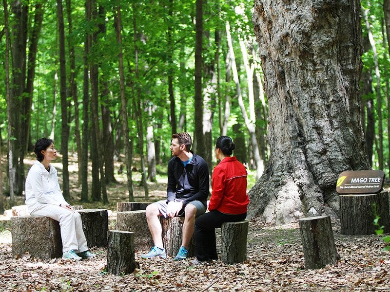 Camping at Its Best with Shane Diet & Fitness Resort | by DAVID ...
