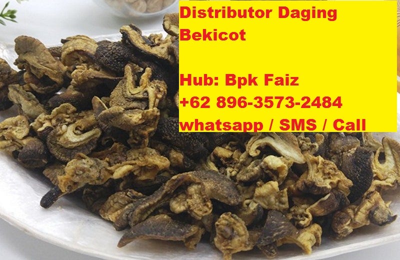 Pabrik Bekicot Kediri +62 896–3573–2484 | by Olahan Bekicot +62 896 ...