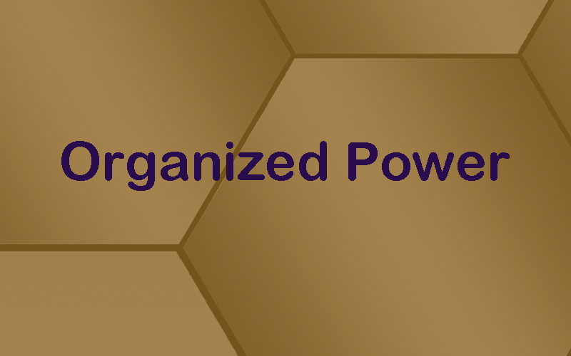 Organized Power - Nikki Flynn - Medium