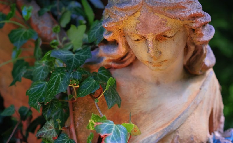 Death Is Not the End. “Death is not extinguishing the light… | by The ...