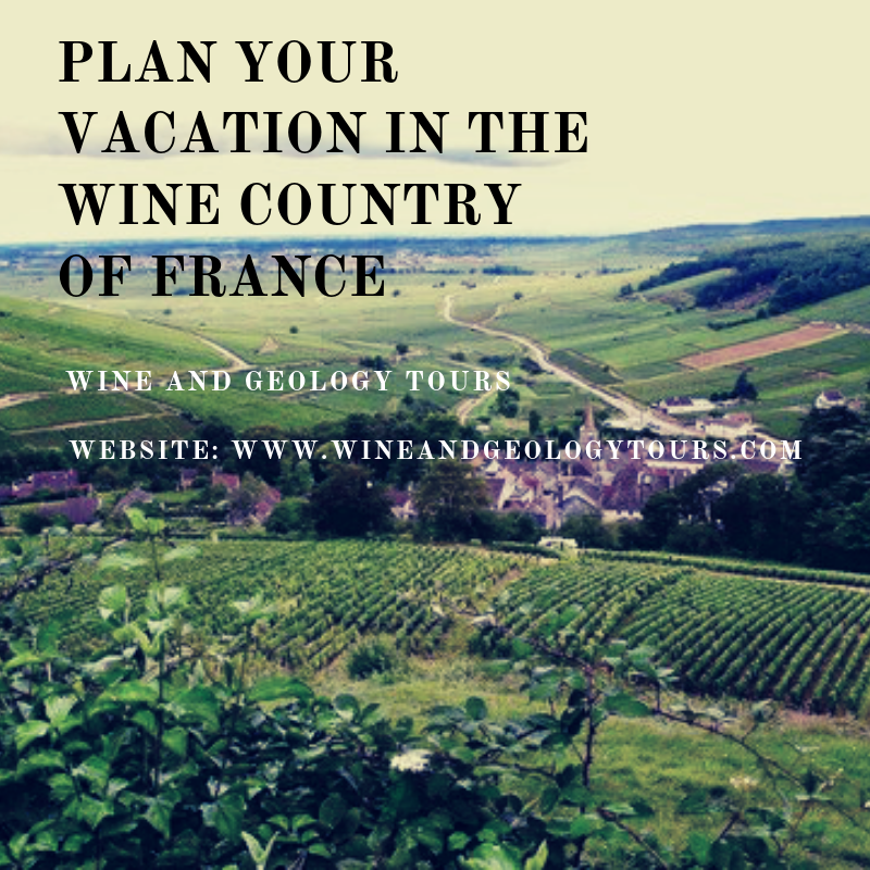 Plan your Vacation in the Wine Country of France | by Wine and Geology Tours | Medium