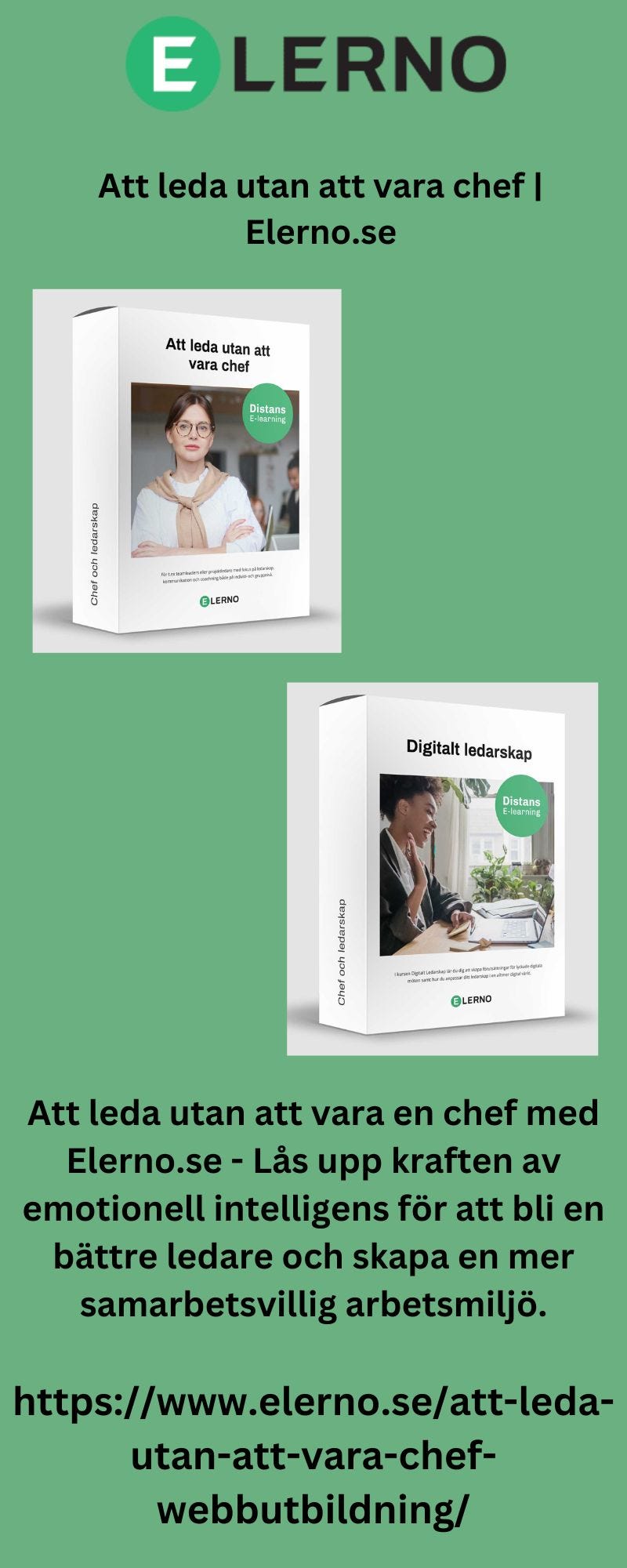 Att leda utan att vara chef | Elerno.se - Elerno Utbildning - Medium