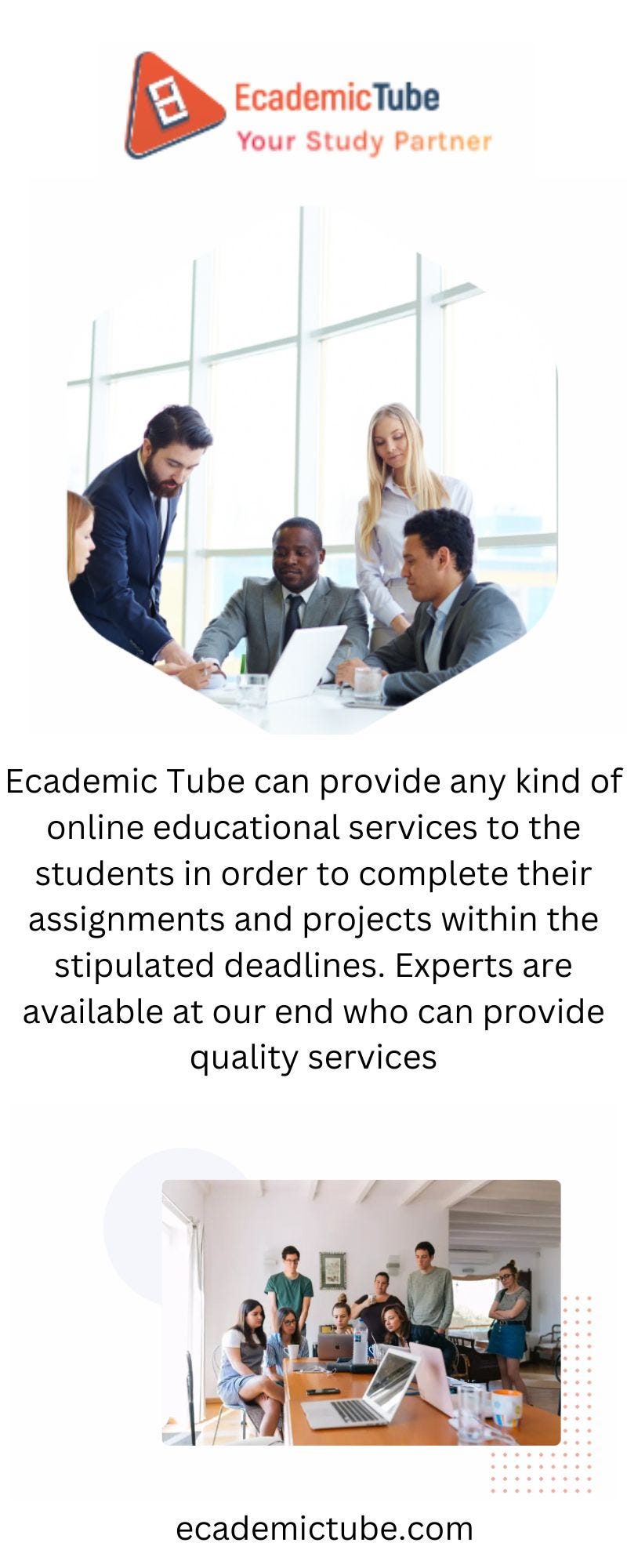 Academic Project Report Writing Ecademictune Pvt