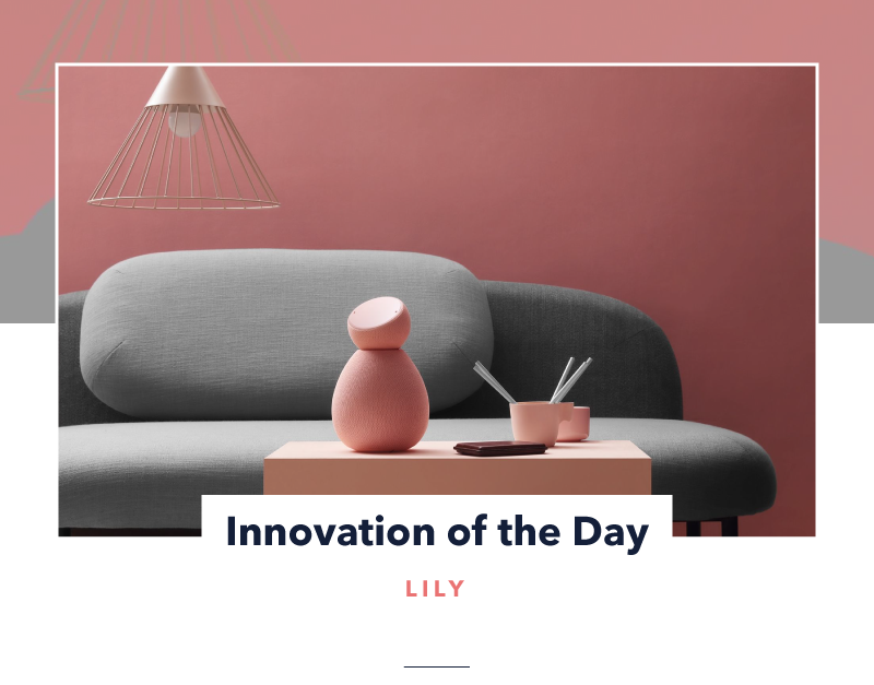 Innovation of the Day: Lily. Smart speaker teaches Chinese 🔈 🇨🇳 | by ...