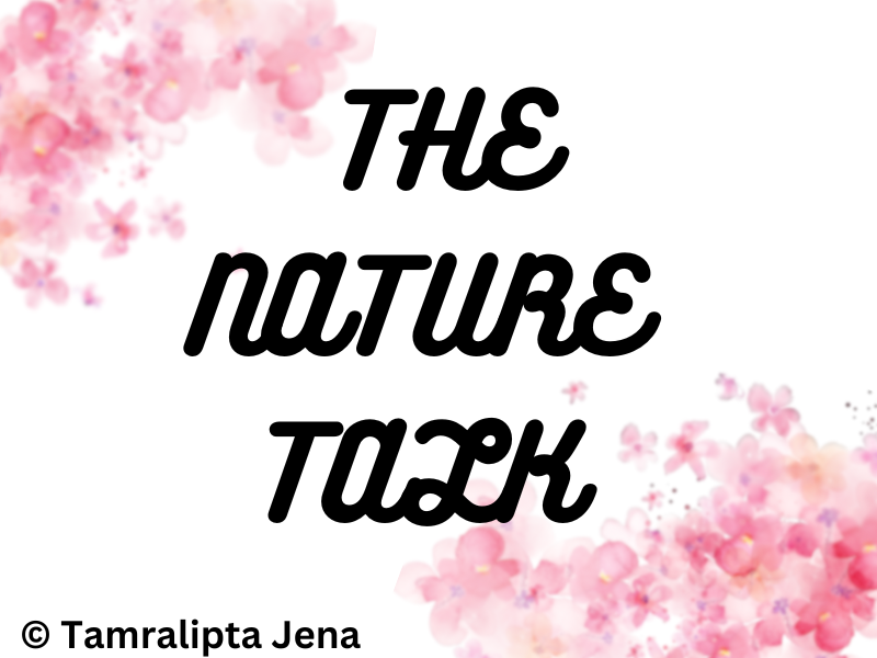 “The Nature Talk” - Tamralipta Jena - Medium