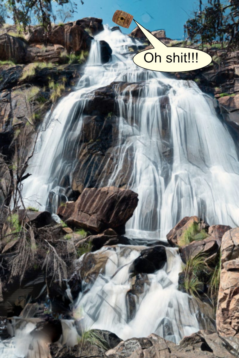 Learning That My Son Is a Woman. And going over a waterfall in a barrel ...