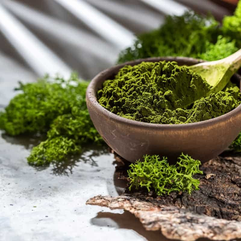 Chlorella Unleashed: Fueling Your Day with Energy and Stamina | by ...