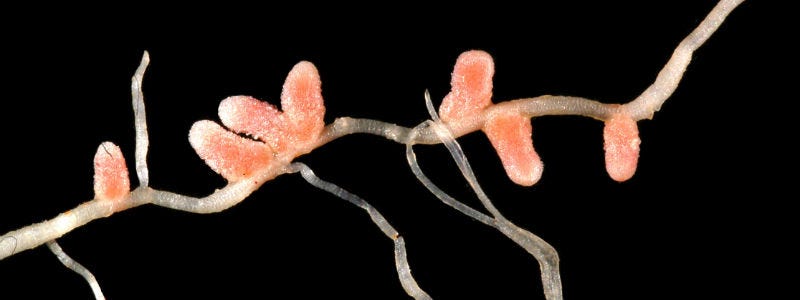 Node.js By Example: Part 1. Yet another tutorial on the practical… | by ...