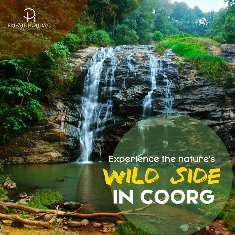 JUNGLE RESORTS IN COORG. Imagine waking up in surroundings that… | by ...