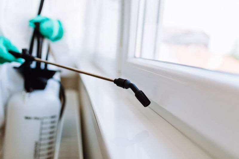 A Comprehensive Guide To Wasp Control | by AIM Environmental Services ...