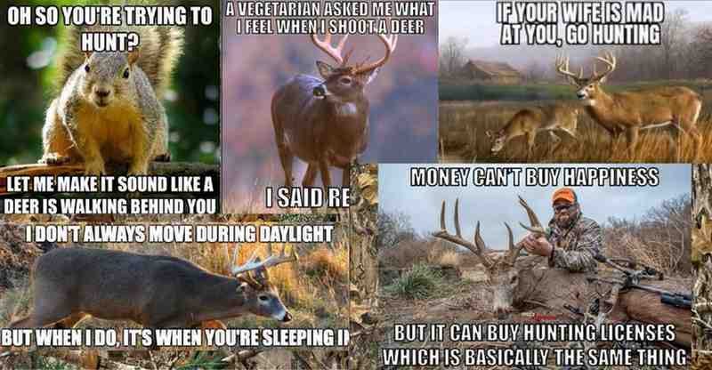Hilarious And Funny Deer Hunting Memes 2024 - Nikhilvermaaa - Medium