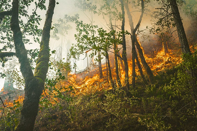 How Drones are Useful in Forest Fire Response | by Utsav Chopra ...