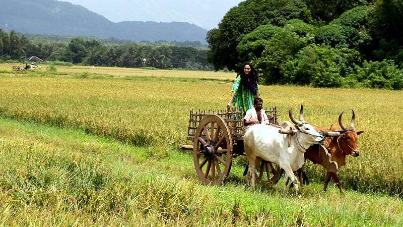 Village life. https://www.keralatourism.org/responsibl… | by Ayesha 📝 ...