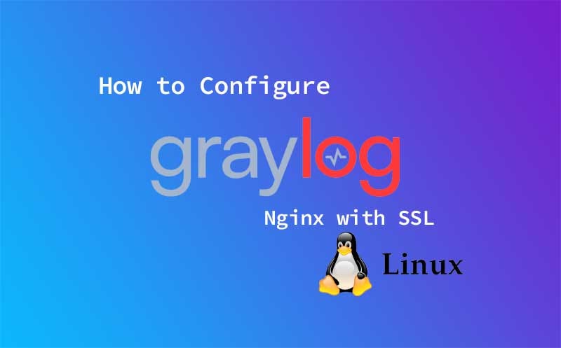 How to Configure Graylog Nginx with SSL - Mark Ai Code - Medium