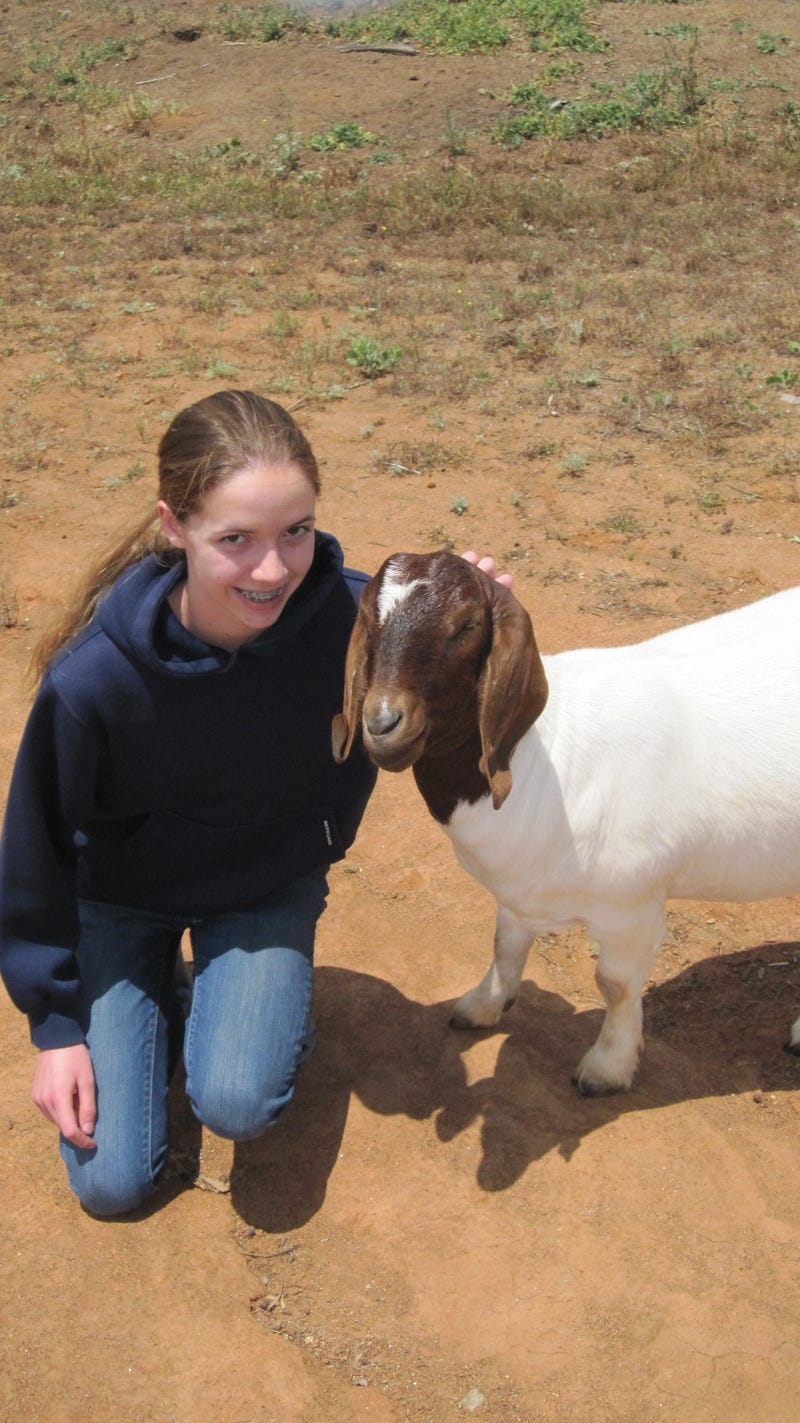 SAVING JILLIAN’S GOATS IS ONE MORE WAY TO SAVE THE PLANET | by Kathy ...