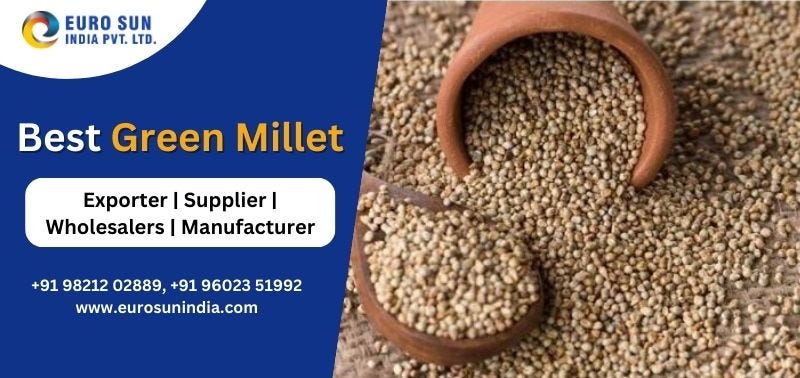 Green Millet Exporter and Supplier | by Plassey Team | Mar, 2024 | Medium