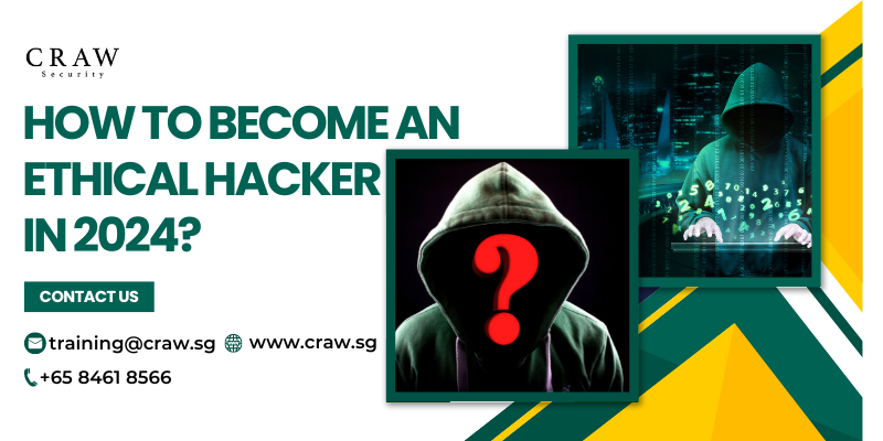How to Become an Ethical Hacker in 2024: A Complete Roadmap | by ...