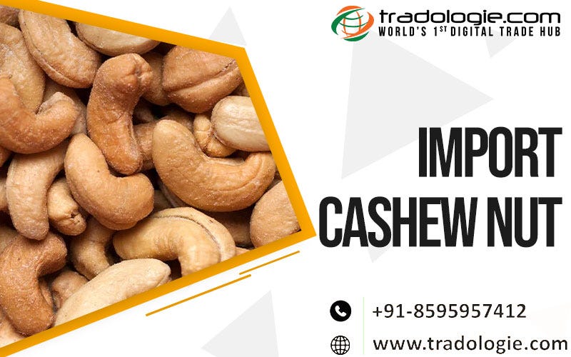 Import Cashew Nut - Tradologie - Medium