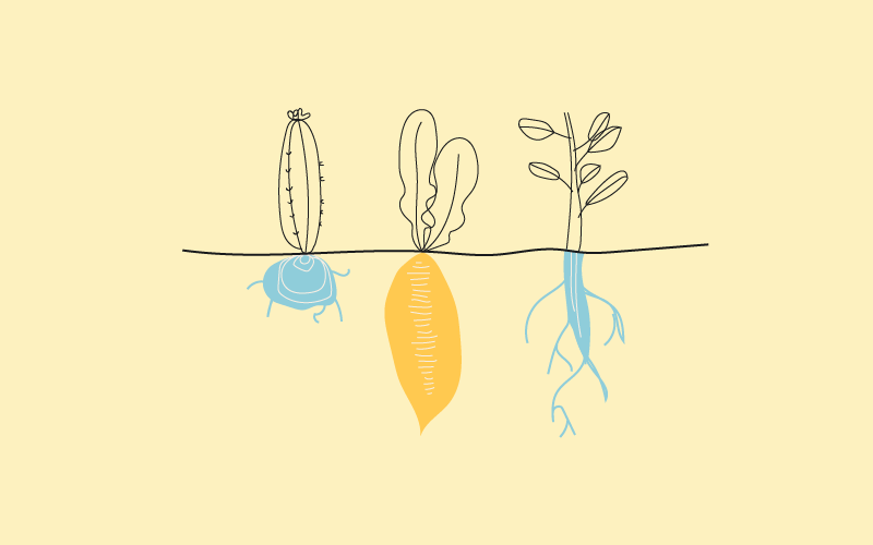 What is the root?. an activity for understanding… | by Emotion-Centered ...