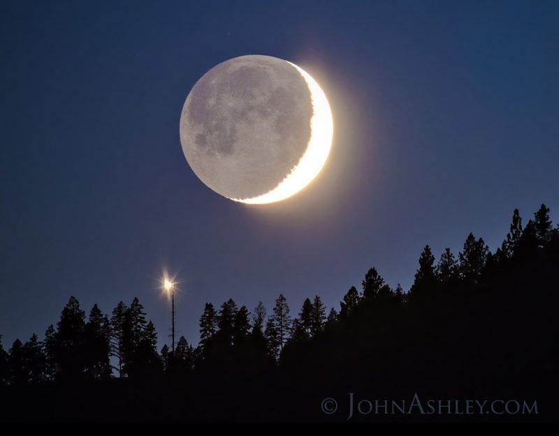 Moonglow & Saviors. Yes, you are, indeed, the stuff of… | by Lin Ross ...