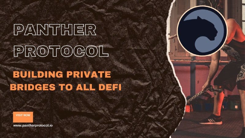 PANTHER PROTOCOL. BUILDING PRIVATE BRIDGES TO ALL DEFI | by Basseyisrael | Medium