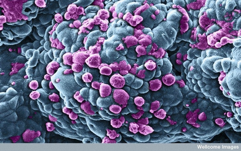 4 Ways Nanotechnology Is Advancing Medicine | by Marcia Radosevich | Medium
