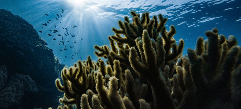 New Ocean Challenges. 15 Big Issues to Marine and Coastal… | by World ...