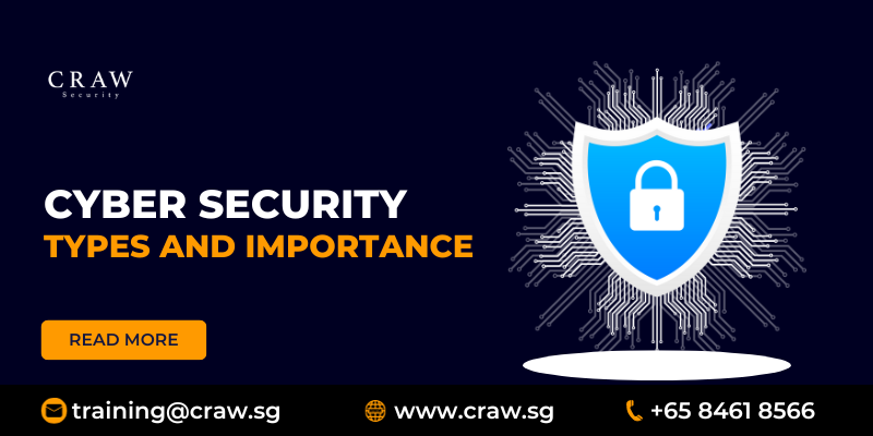 Cyber Security, Types, And Importance | by crawsecurity | Sep, 2023 ...