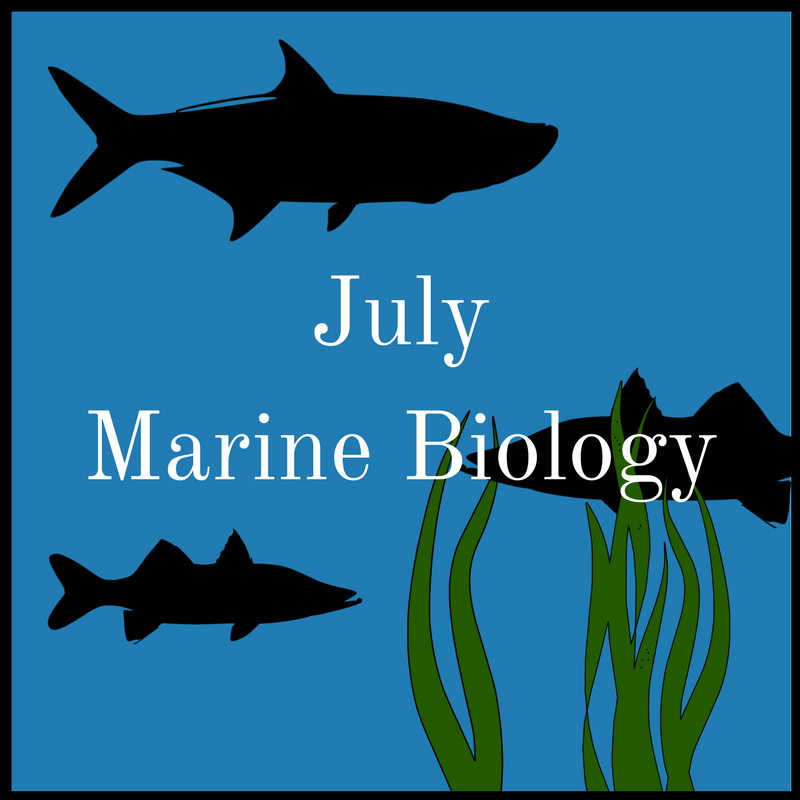 July STEM Star: Melissa Márquez. Our STEM Star theme for July is… | by ...