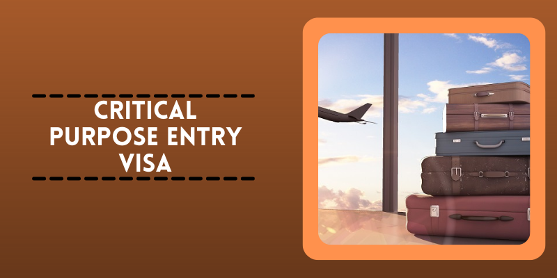 Critical Purpose Entry Visa - ROSS TAYLOR - Medium