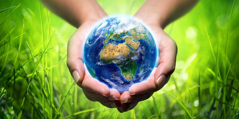 Protecting and Preserving God’s Creation | by St. Vincent de Paul ...