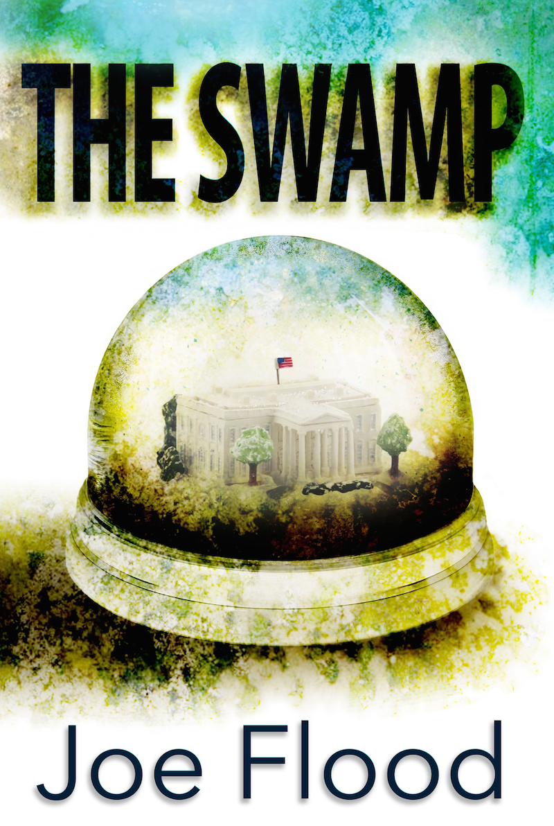A Novel Idea: The Story of The Swamp | by Joe Flood | Medium