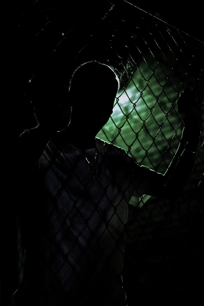 Caged (A Short Story). It can’t escape — don’t let it escape… | by John ...