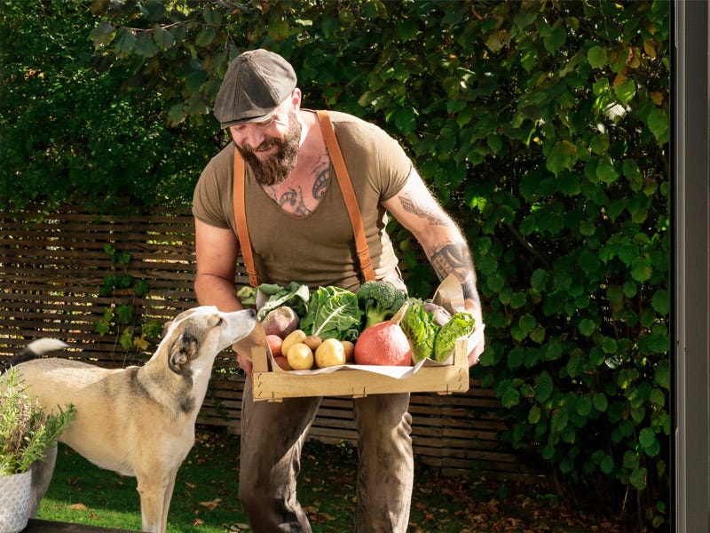 10 Reasons to Embrace a Vegan Lifestyle | by Kahaaneeya | Plantmade ...