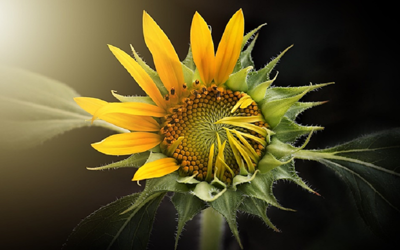 Do You Control Your Environment, or Does It Control You? | by Marquita ...