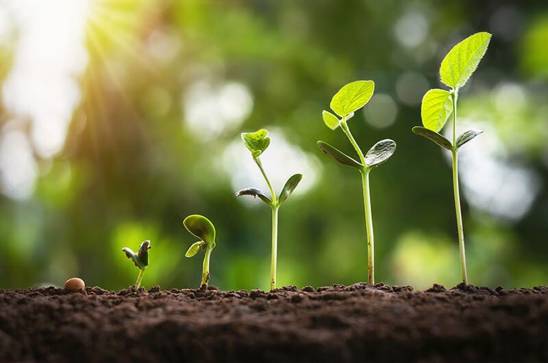 Embarking on a Journey: Exploring ARIMA Forecasting | by Valentina ...