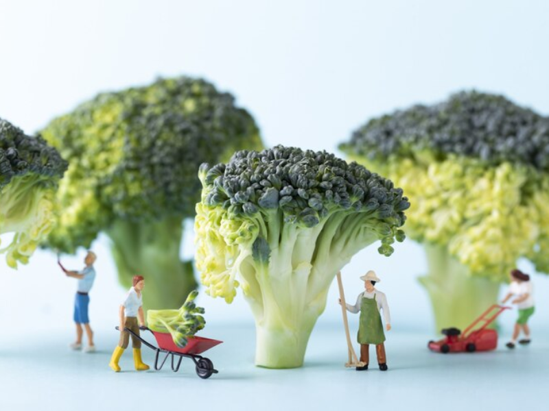 fresh vegetA Closer Look at the Health Benefits of Eating Broccoli ...