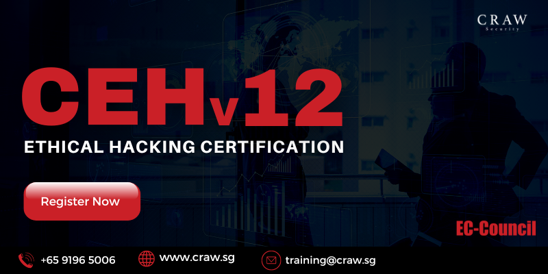 Ceh Ethical Hacking Certification Course In Singapore By Crawsecurity Medium