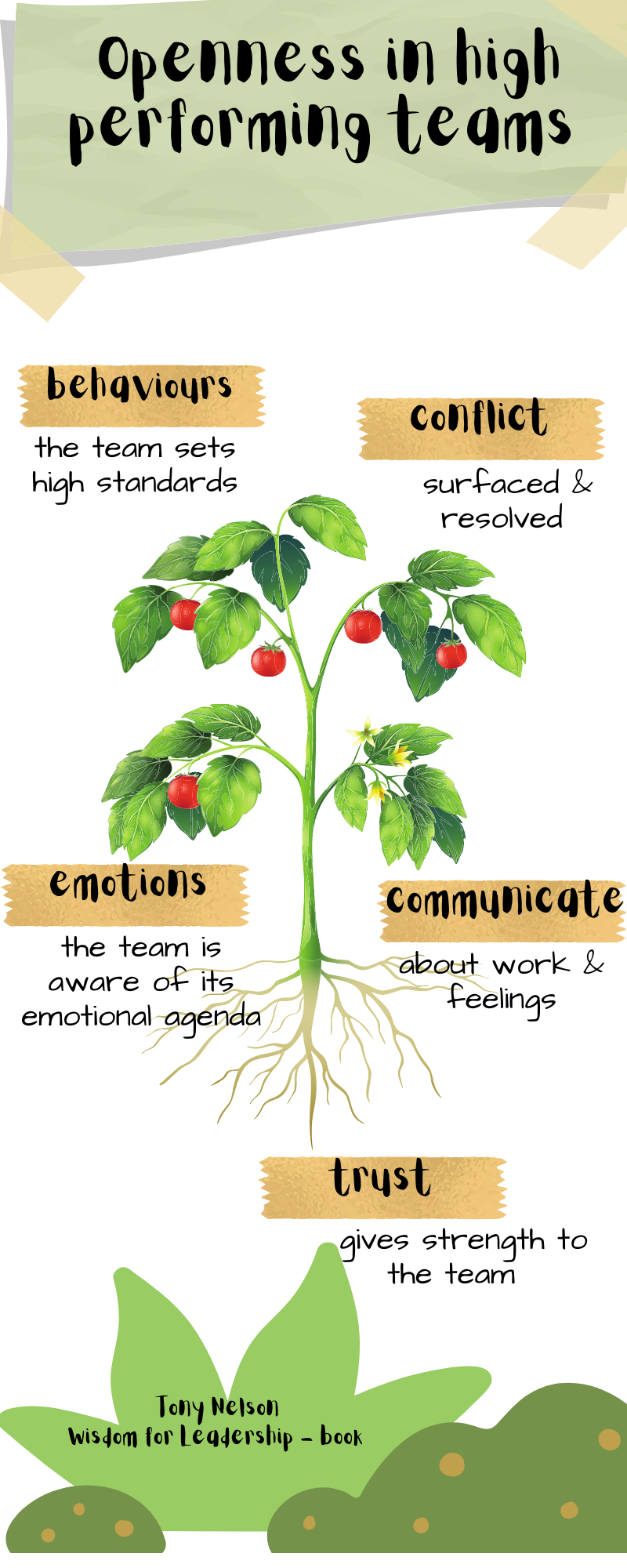 How psychological safety works in high performance teams - Tony Nelson ...