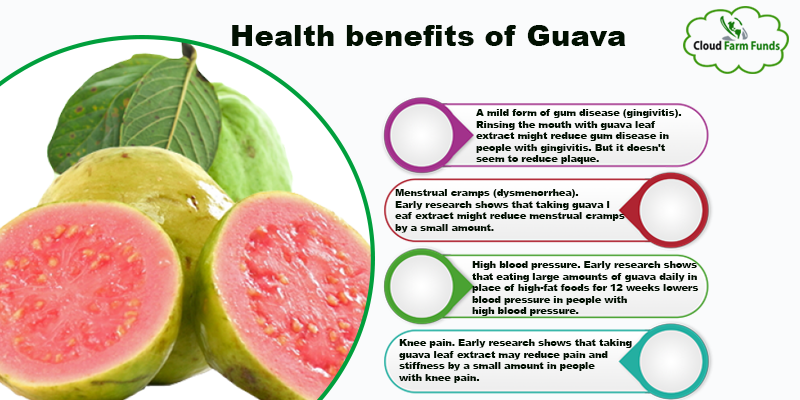 5 Health Benefits of Guava. Guava is a tropical fruit with its… | by ...