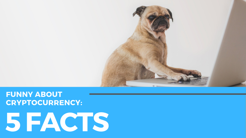 Funny about cryptocurrency: 5 facts | by CDLCONLINE 24 | Medium