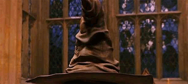Does the Sorting Hat Always Make the Right Call? | by Konner Donté ...