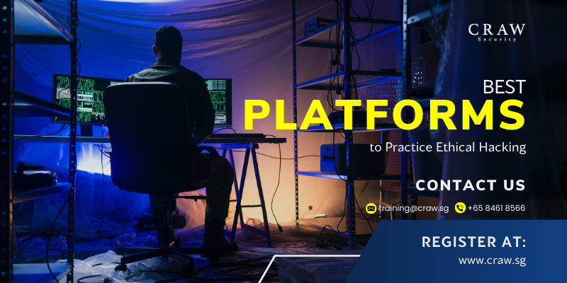 Best Platforms to Practice Ethical Hacking | by crawsecurity | Medium