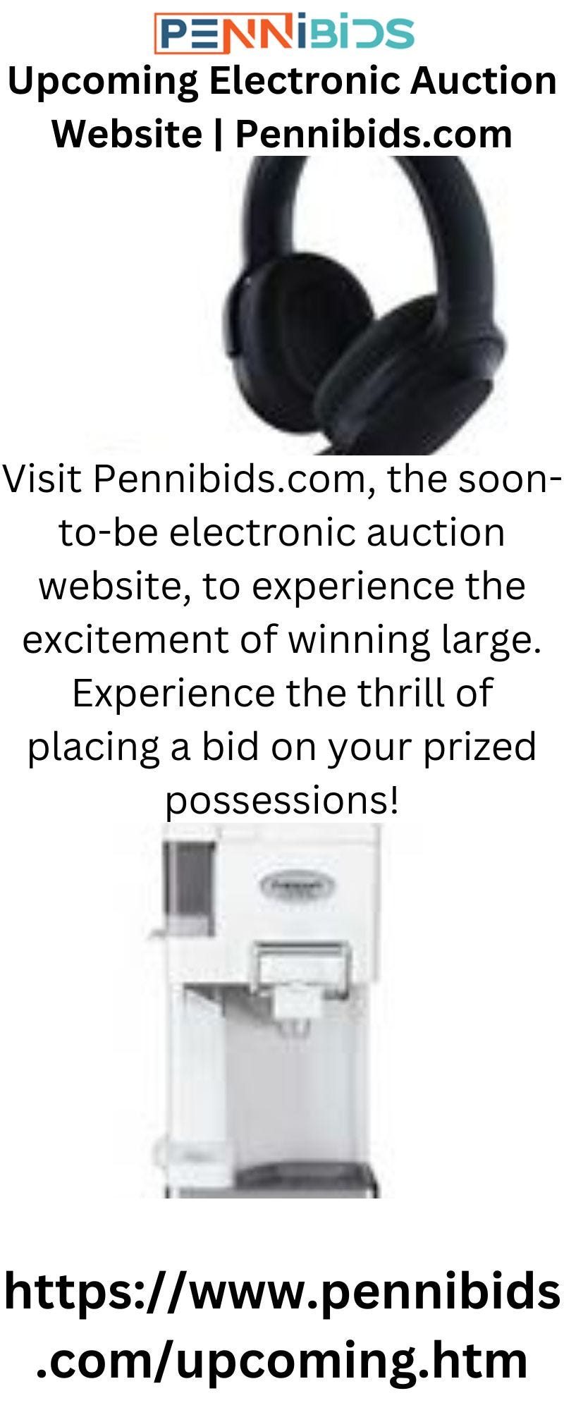 Upcoming Electronic Auction Website | Pennibids.com - PenniBid Holdings ...