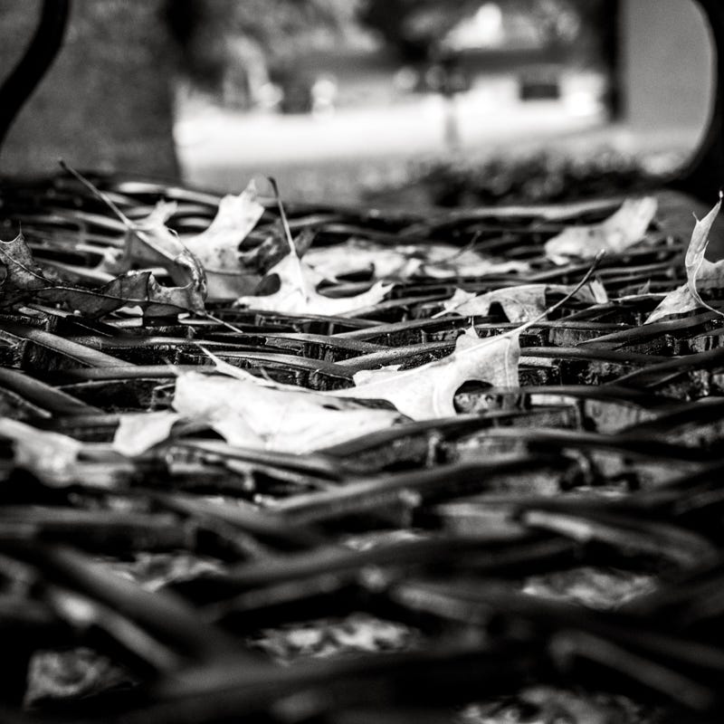 Listen.. I have recently started a journey of… | by Tim Bindner | Medium