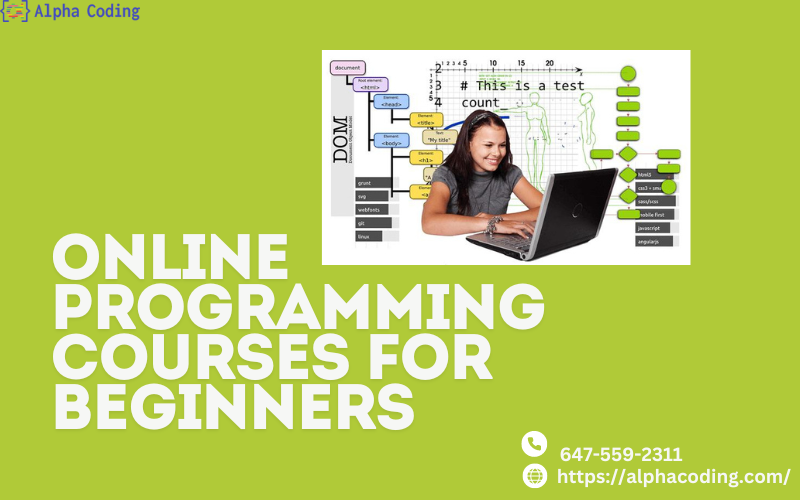 The Ultimate Guide To Online Programming Courses For Beginners With Alpha Coding By Alpha