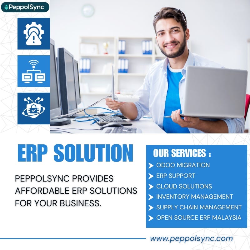 Erp Customization Malaysia Tailored Solutions For Success By Peppol Sync Sep 2024 Medium