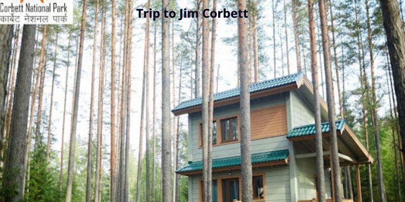 4 Best Things You Should Do On Your Trip to Jim Corbett - Corbett ...