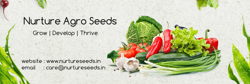 What is the Seed Multiplication Process | by Ashwin Palo | Performance ...
