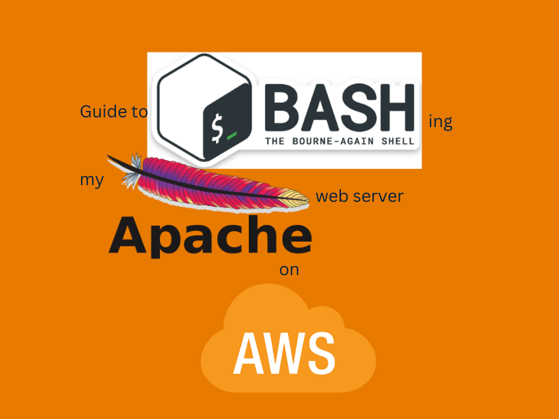 Creating an AWS EC2 instance to host a website, while adding a user using a Bash Script. | by ...